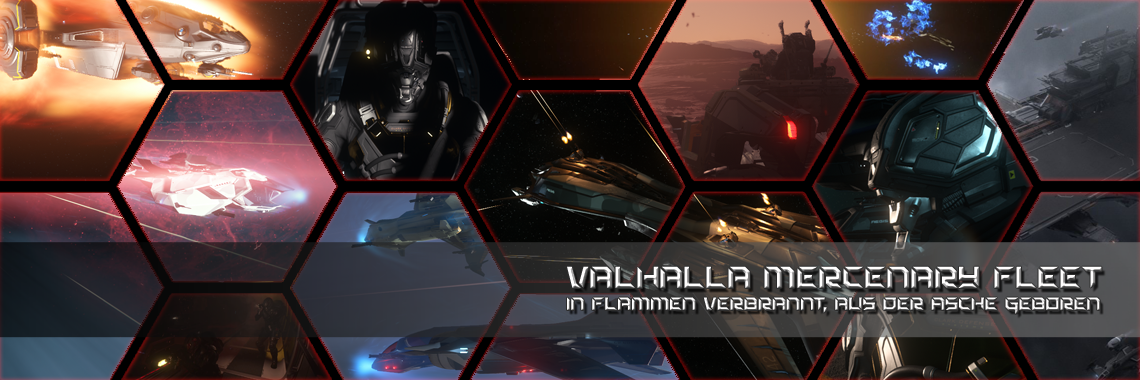 [DE] Valhalla Mercenary Fleet - kleine Trägergestützte paramilitärische Flotte - Star Citizen ...